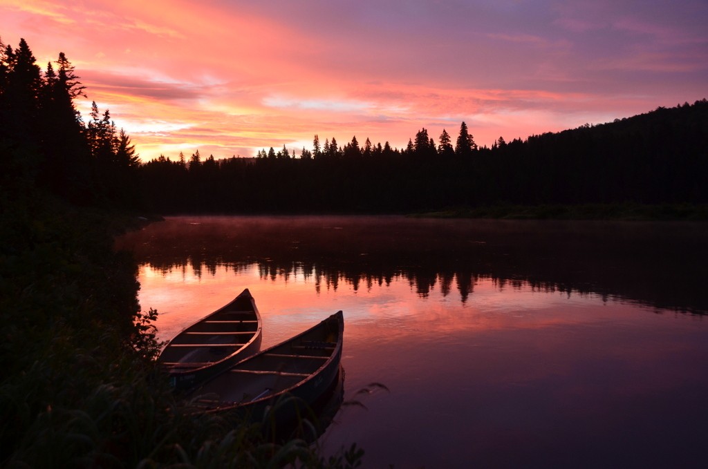 Allagash River Canoe Trips, Family Friendly, Best Moose Viewing Trip