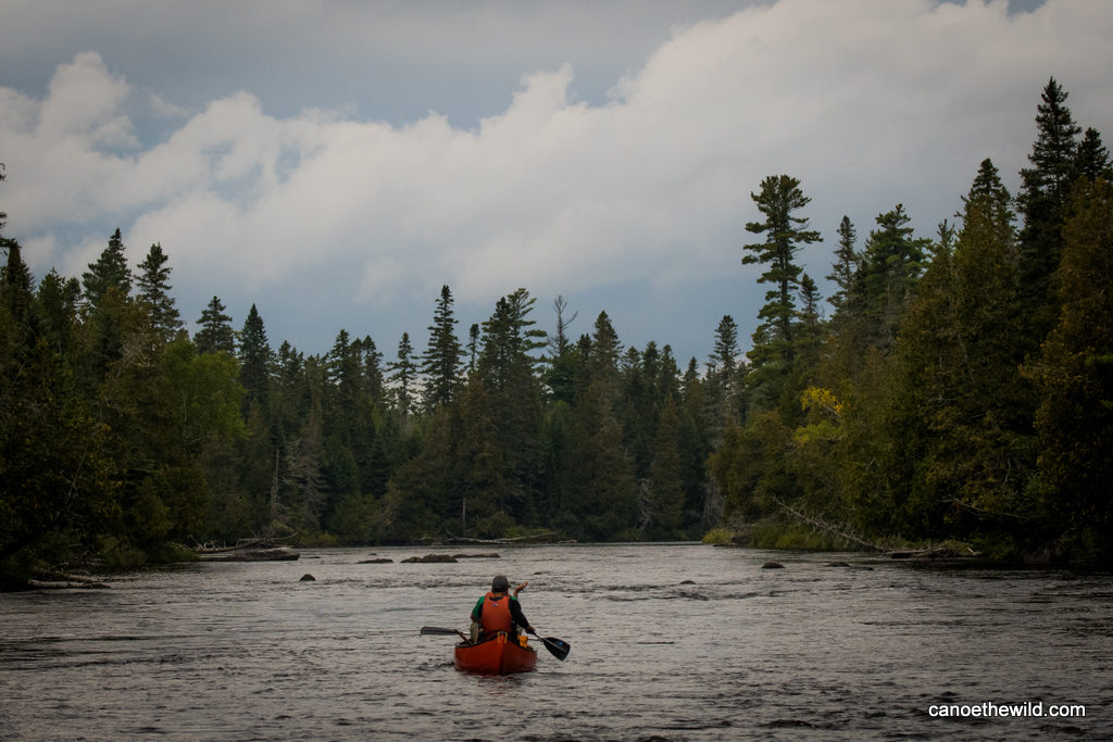 Allagash River Canoe Trips, Family Friendly, Best Moose Viewing Trip