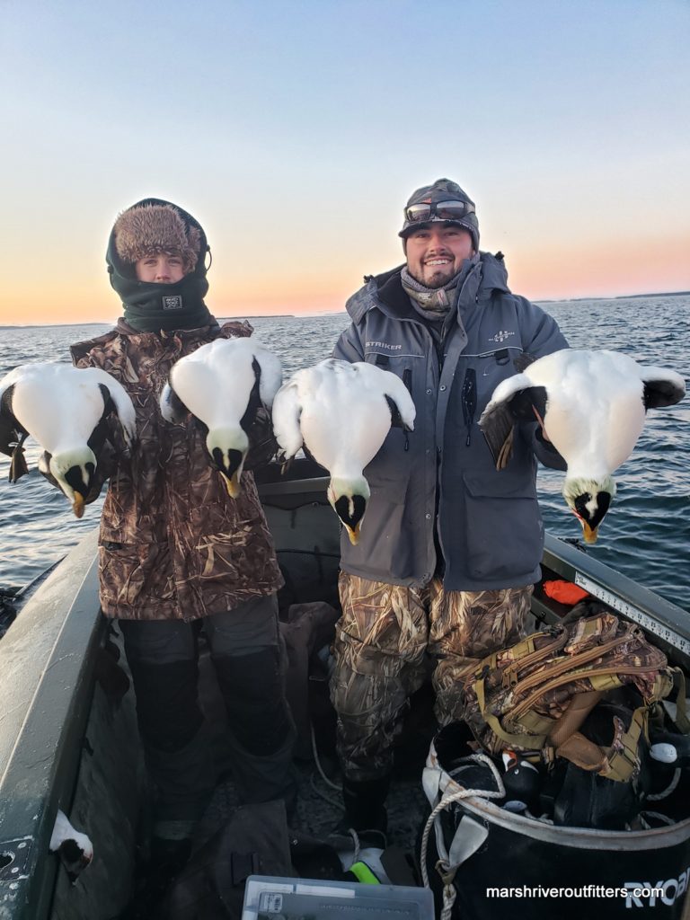 Guided sea duck hunts, Maine coast - Canoe the Wild