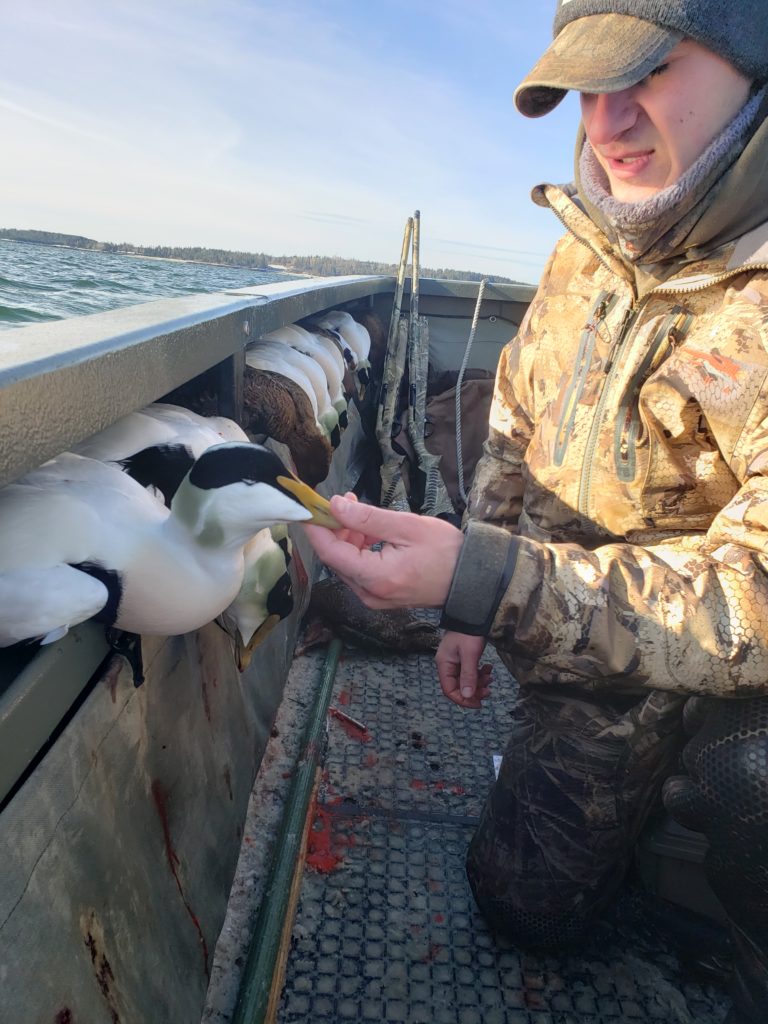 Sea Duck hunt the Maine coast - Canoe the Wild