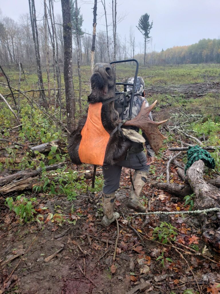 Maine Moose Hunting Outfitter & Guide in WMD 1,2,3,4,5,6,&11.