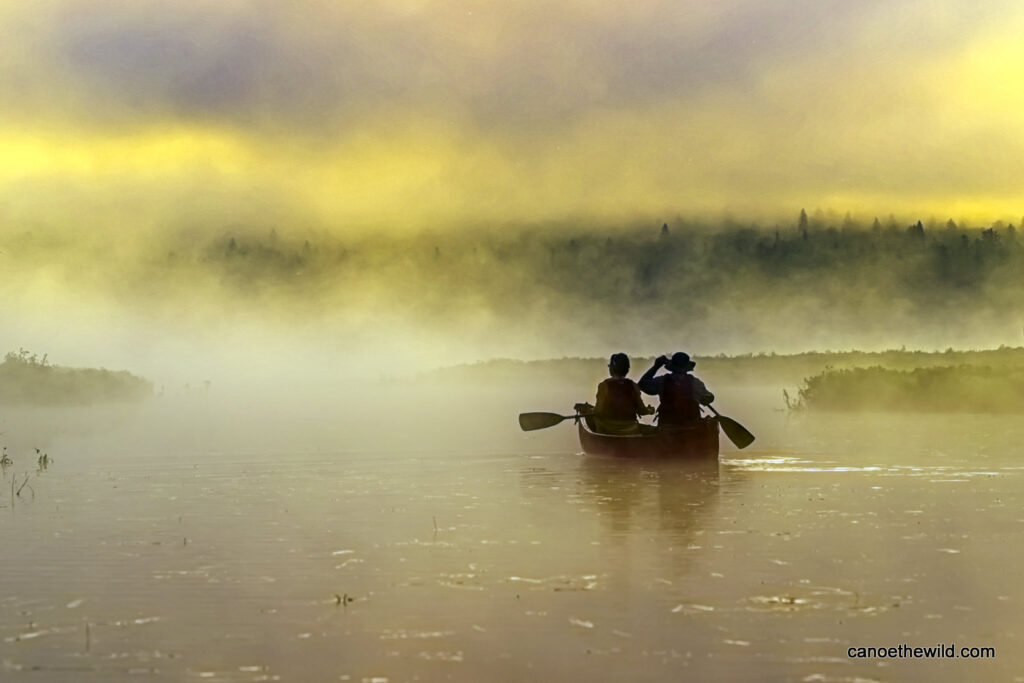 Allagash River Canoe Trips, Family Friendly, Best Moose Viewing Trip