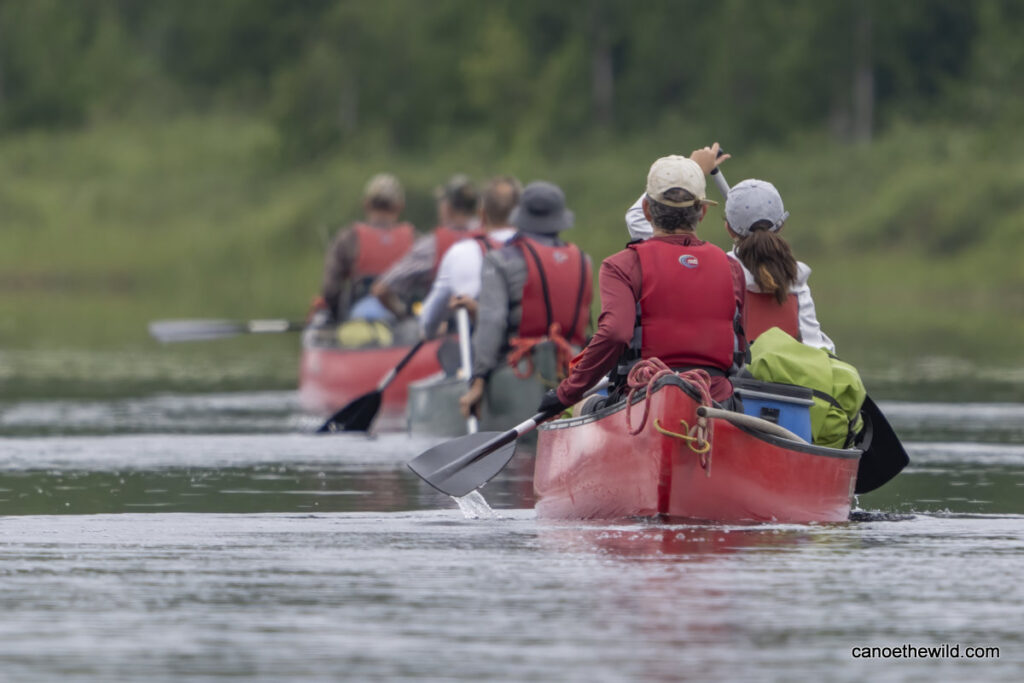 Allagash River Canoe Trips, Family Friendly, Best Moose Viewing Trip