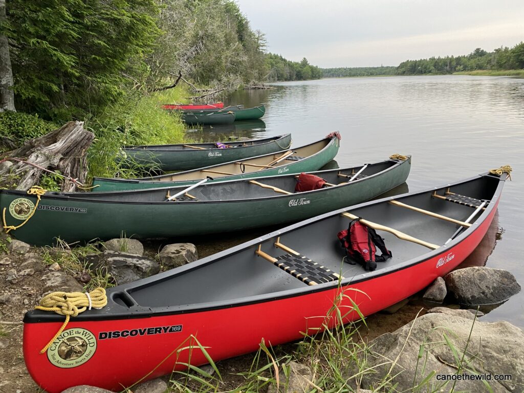 old-town-169-discovery-canoes - Canoe the Wild