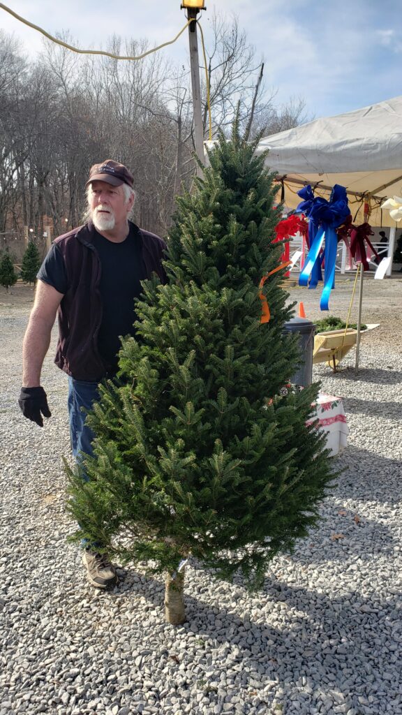 Dave's Maine Christmas Trees and Wreaths, Lynchburg, Virginia