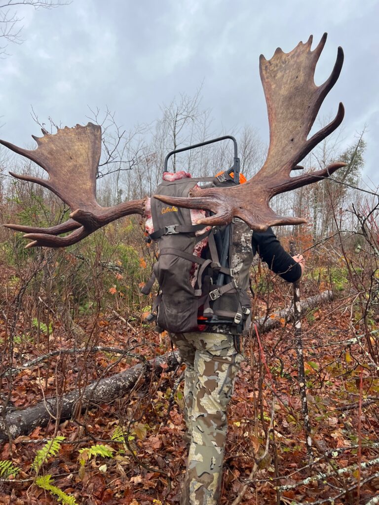 Maine Moose Hunting Outfitter & Guide in WMD 1,2,3,4,5,6,&11.