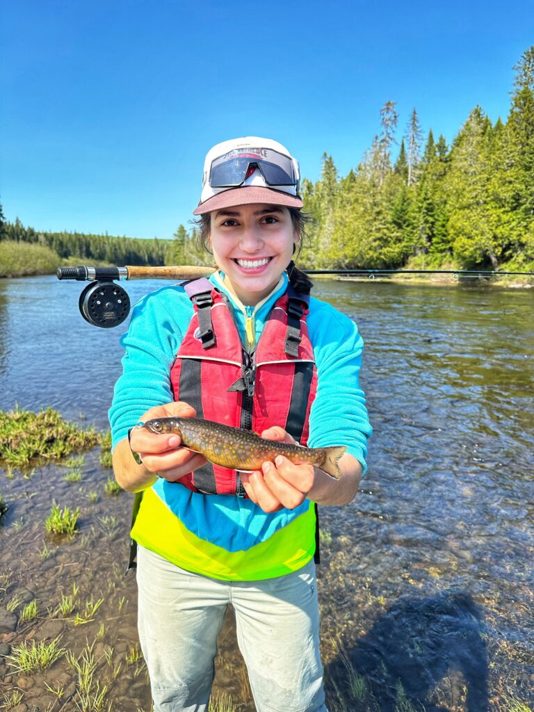 allagash wilderness waterway map