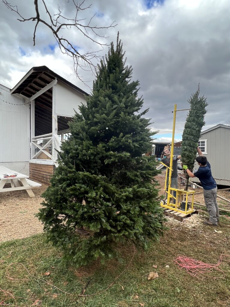 Dave's Maine Christmas Trees and Wreaths, Lynchburg, Virginia