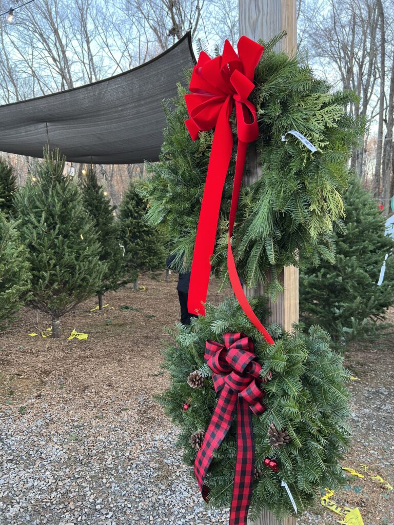 Dave's Maine Christmas Trees and Wreaths, Lynchburg, Virginia