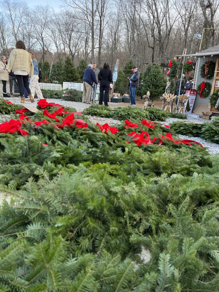 Dave's Maine Christmas Trees and Wreaths, Lynchburg, Virginia
